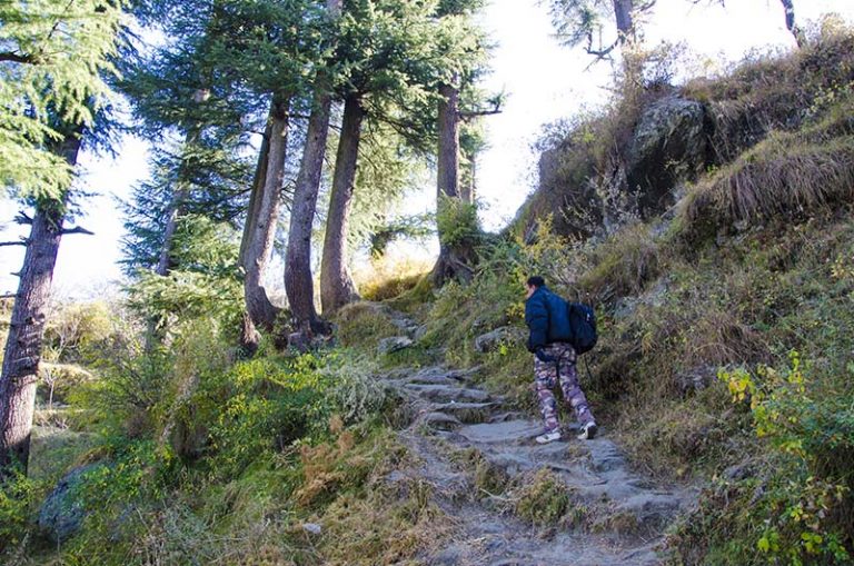 Sightseeing in Tirthan Valley and Trek to Chehni Kothi - Vargis Khan