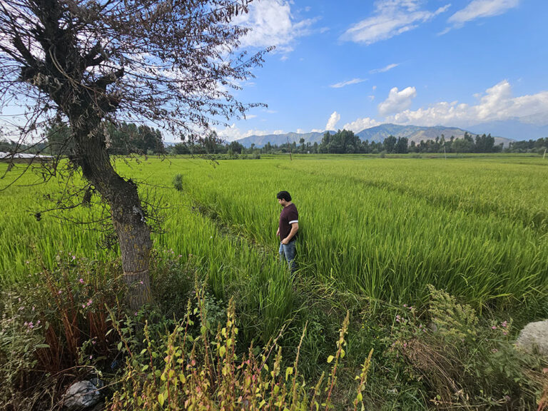 Chatpal Valley and Village, Kashmir - Chattabal Valley - Vargis Khan