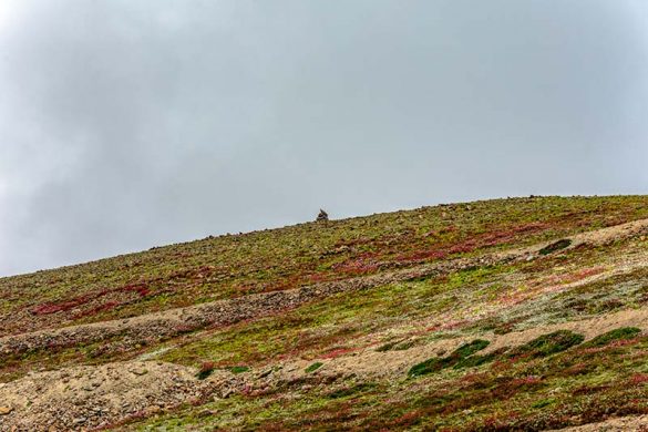 Alpather Lake Trek - Gulmarg to Alpather Lake - Vargis Khan