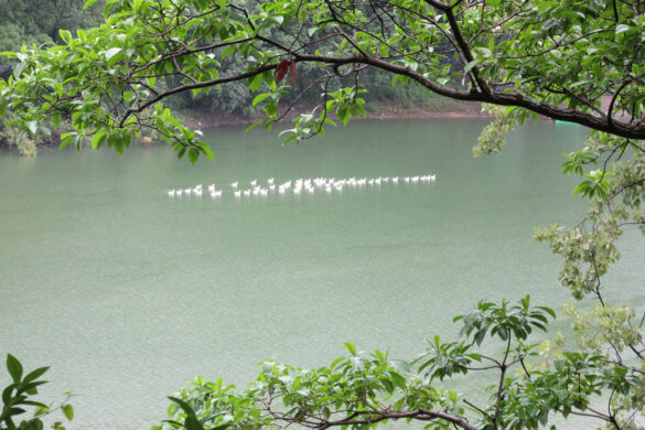 Best Time to Visit Nainital - Weather & Sightseeing - Vargis Khan