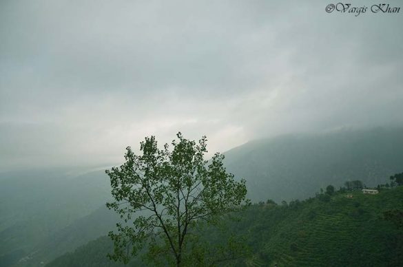 Dharamkot - A Complete Travel Guide & Itinerary - Vargis Khan