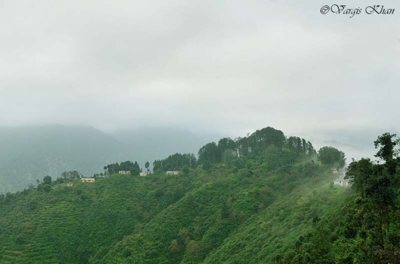 Dharamkot - A Complete Travel Guide & Itinerary - Vargis Khan
