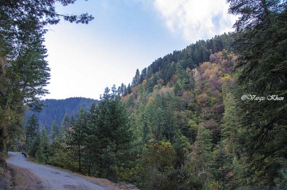 Jibhi - A Complete Travel Guide & Itinerary - Vargis Khan