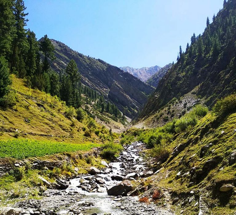 Miyar Valley - How to Plan your Trip & Explore ! - Vargis Khan