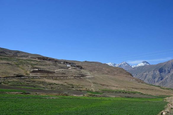 Kibber Village Spiti Valley - A COMPLETE Travel Guide - Vargis Khan