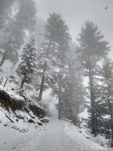 What to see in Tosh | Things to do in Tosh Village - Vargis Khan