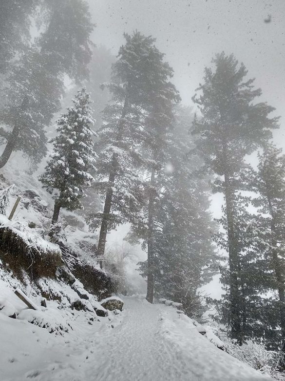 What to see in Tosh | Things to do in Tosh Village - Vargis Khan