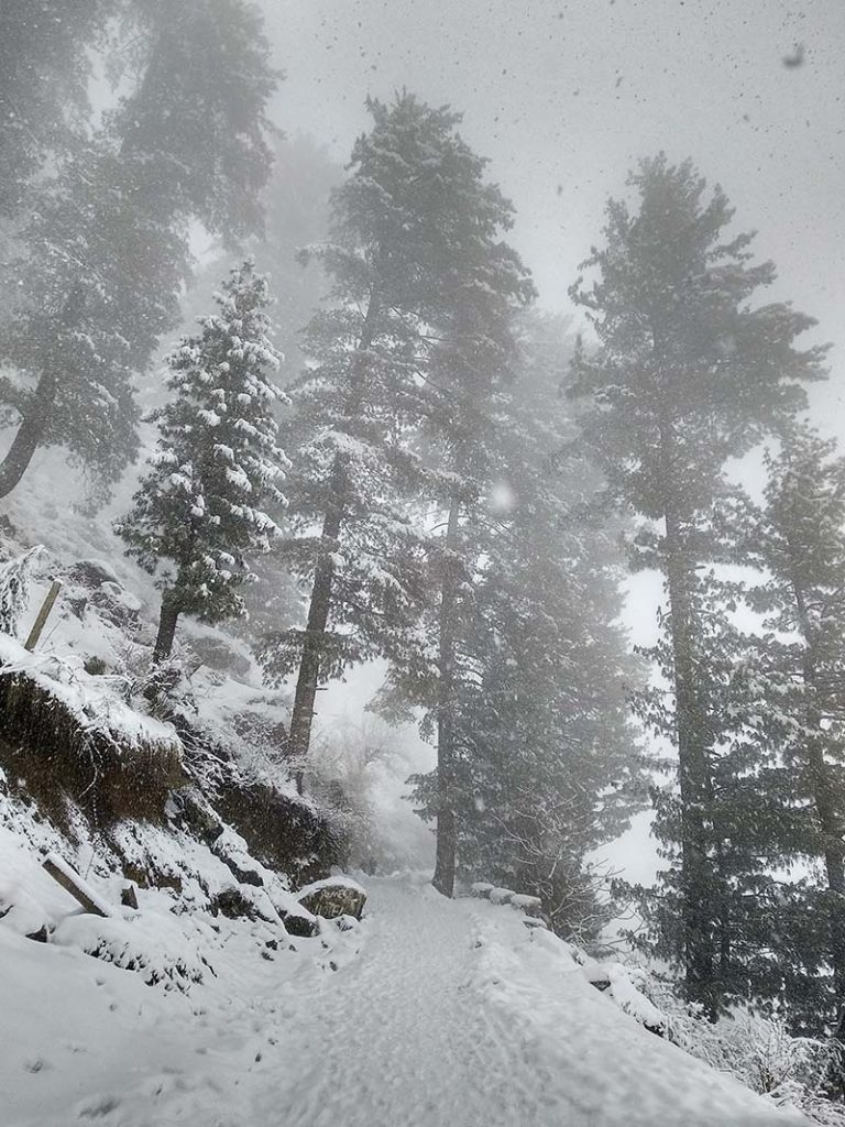What to see in Tosh | Things to do in Tosh Village - Vargis Khan