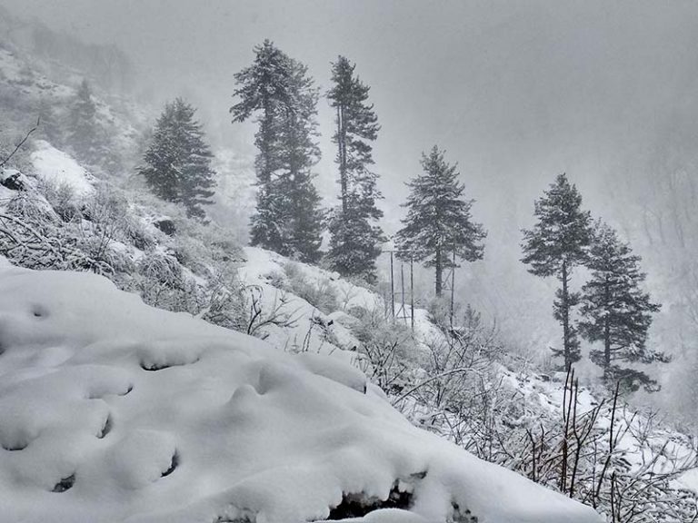 Tosh Village - A Comprehensive Travel Guide & Itinerary - Vargis Khan