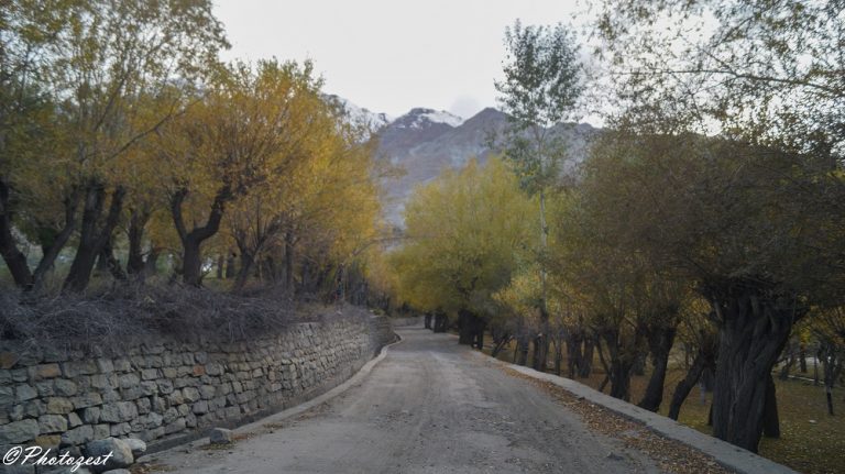 Suru Valley - A COMPLETE Travel Guide & Itinerary - Vargis Khan