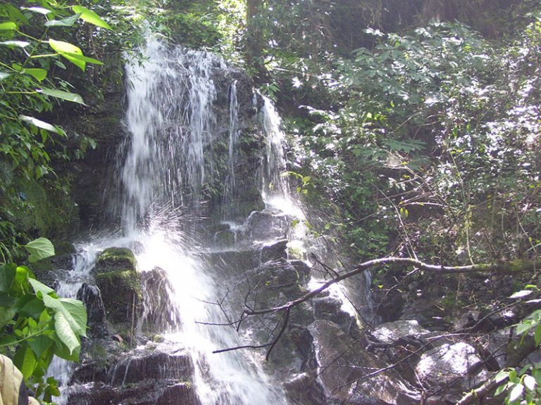 Chaukori - How to Best Plan your Trip and Explore - Vargis Khan