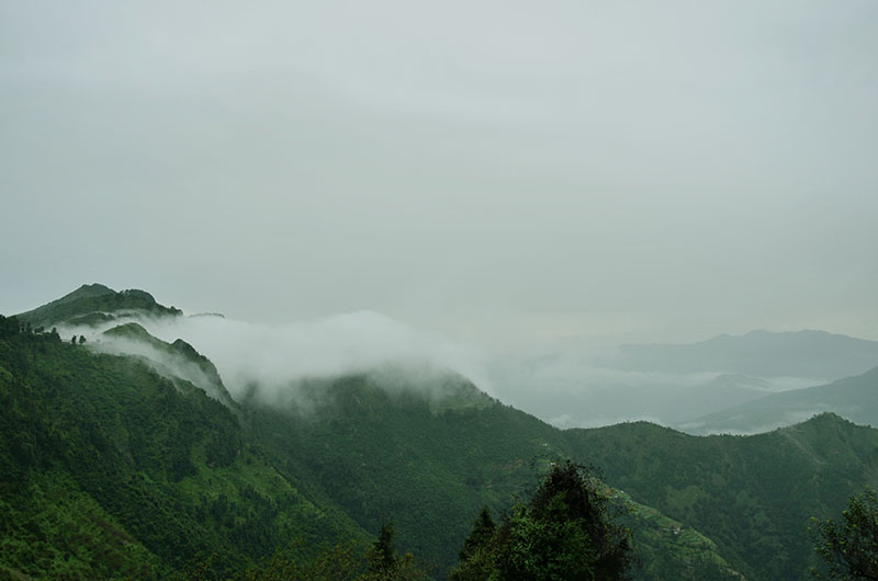 lohaghat-2 - Vargis Khan