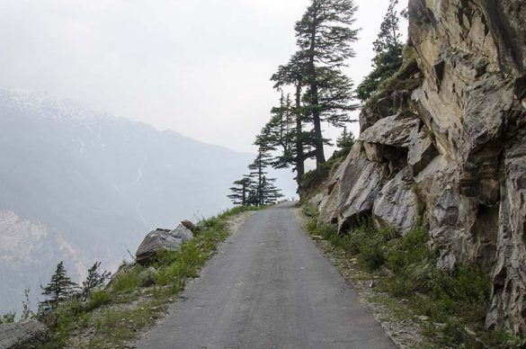 Best Time to Visit Kalpa - When to go to Kalpa - Vargis Khan