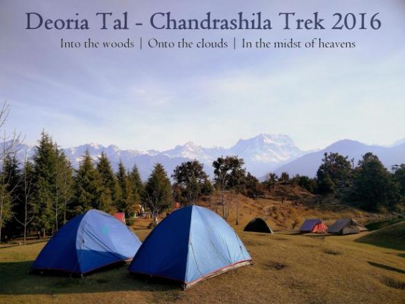 Deoria Tal Chandrashila Trek - Travel Guide, Blog & Itinerary - Vargis Khan