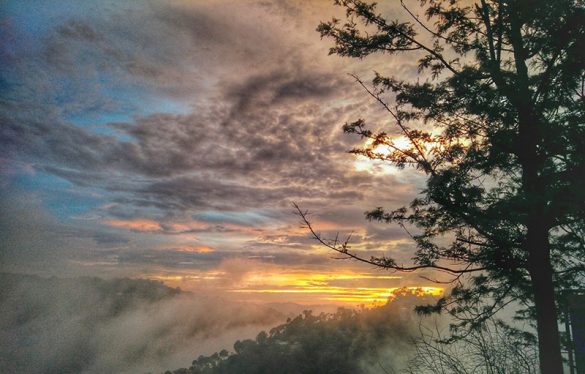 Chail - A COMPLETE Travel Guide and Itinerary - Vargis Khan