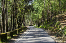 Lansdowne - A COMPLETE Travel Guide & Itinerary - Vargis Khan