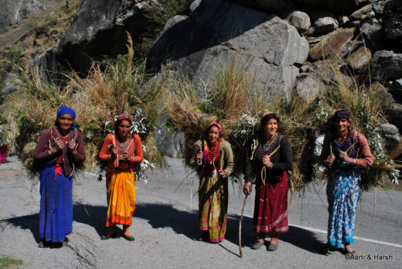 Road Trip to Auli, Malari Village and Niti Valley - Vargis Khan