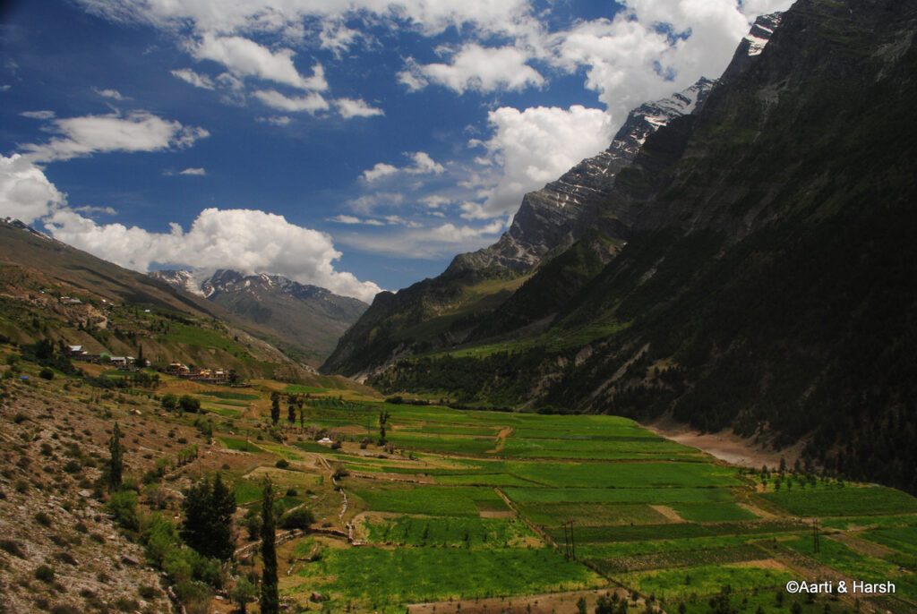 Manali to Jispa via Rohtang Pass - Manali to Jispa Itinerary - Vargis Khan