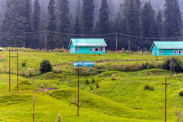 Yusmarg - A Comprehensive Travel Guide & Itinerary - Vargis Khan