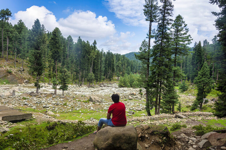 Yusmarg - A Comprehensive Travel Guide & Itinerary - Vargis Khan