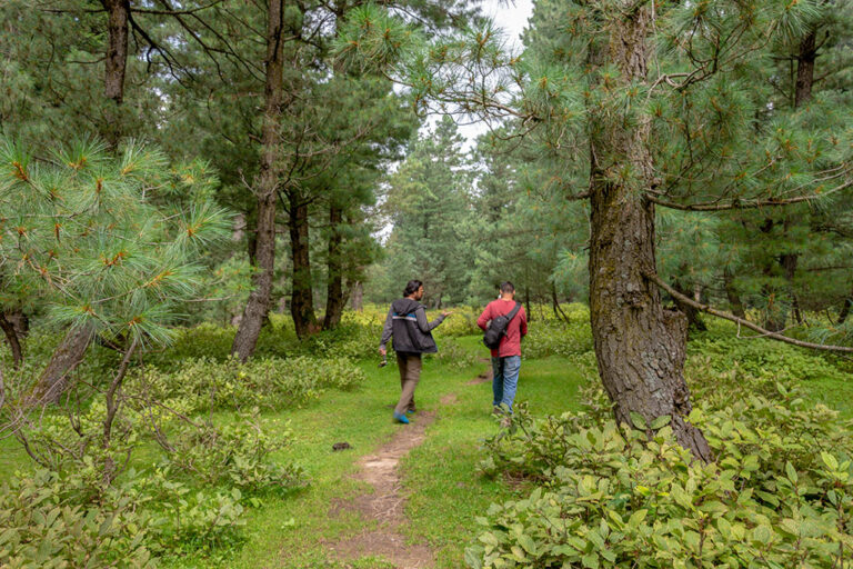 Yusmarg - A Comprehensive Travel Guide & Itinerary - Vargis Khan