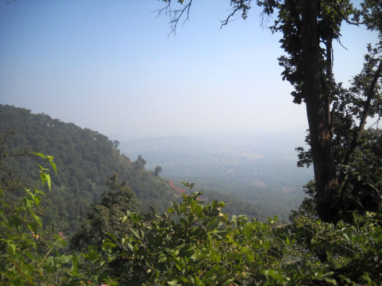 Saranda Hills - A Trip to the Seven Hundred Hills Forest - Vargis Khan