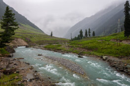 Sonamarg - A COMPLETE Travel Guide and Itinerary - Vargis Khan