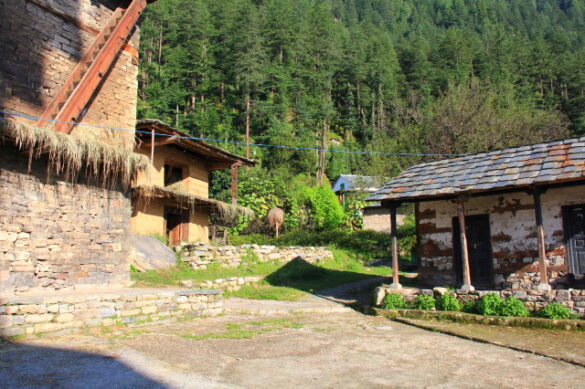 Chehni Kothi Trek - Jibhi and Chehni Kothi - Vargis Khan