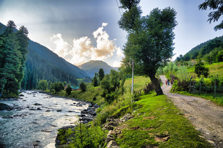 Betaab Valley and Aru Valley - Pahalgam, Kashmir - Vargis Khan
